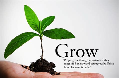 Learn As You Grow Quotes Quotesgram