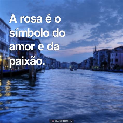 Descubra As Mais Belas Frases Sobre Rosas E Se Encante Sua