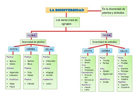 Mapa Mental Sobre La Biodiversidad