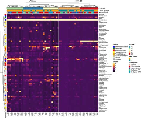 Heatmap And Sample Clustering Z Score Abundance Heatmap With