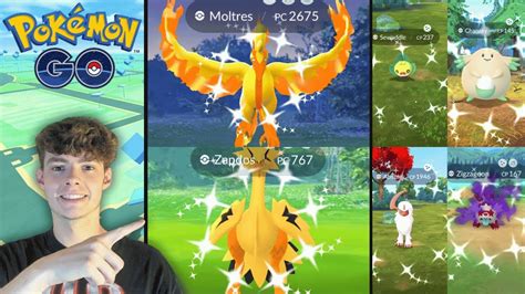 Shiny Galarian Bird Hunt Shiny Shadow Hunt YouTube