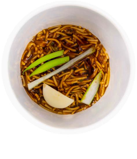 Cantonese Style Hoisin Duck Naked Noodle