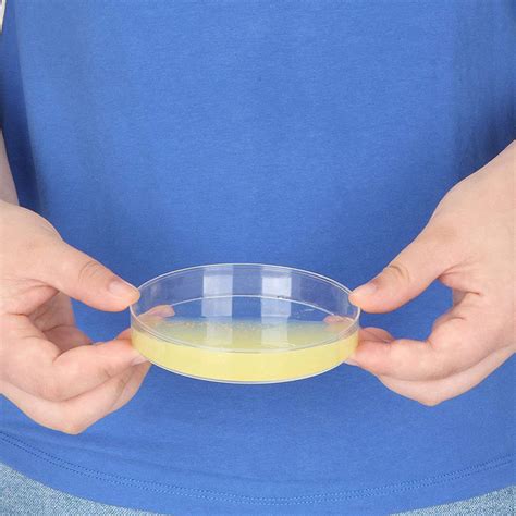 Petri Dish With Pcs Disposable Sterile Petridish Laboratory Tools