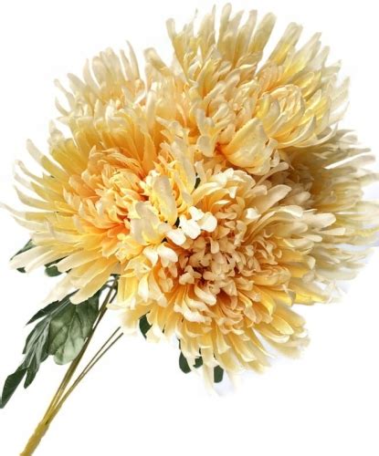 Decoflowers hurtownia kwiatów i roślin sztucznych Kwiaty sztuczne Tychy