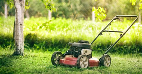 Mowing The Lawn Tips For Healthy And Happy Grass