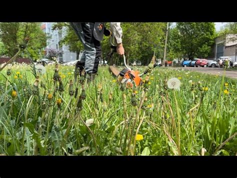 Stihl Fs Mows Grass Stihl