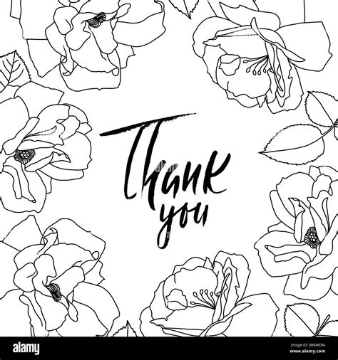 Thank You Handwritten Inscription Hand Drawn Modern Dry Brush