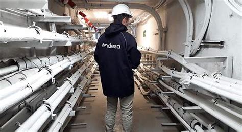 Endesa destina 200 000 euros a mejorar la red eléctrica de distribución