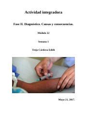 Trejocc3b3rdova Edith M22s1 Diagnosticocausas Docx Actividad
