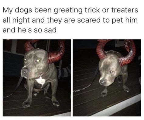 Hilarious Memes For People Who Are Way Too Into Halloween Funny