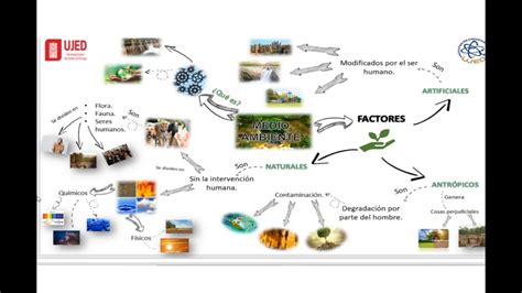 Arriba 106 Imagen Como Hacer Un Mapa Mental De La Contaminacion