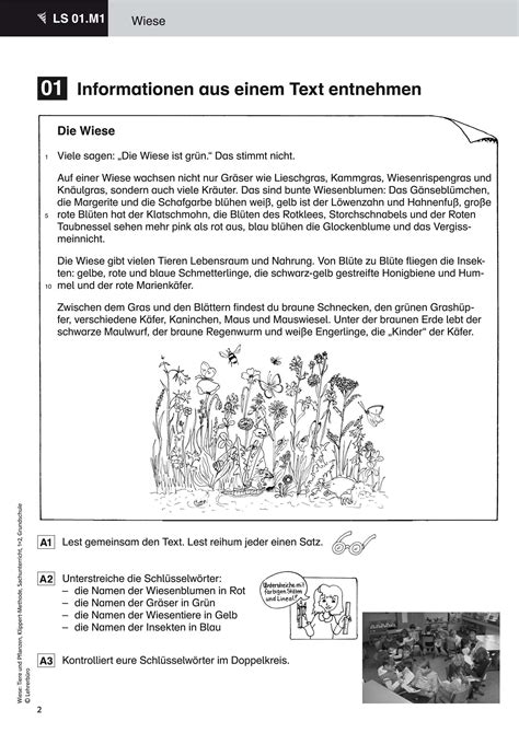 Tiere Der Wiese 1 Klasse Tiere Im Wald Auer Verlag Material Zur