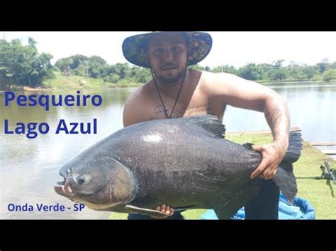 Pirarara Pacu Tilapia Tambaqui Mais Uma Pescaria No Pesqueiro