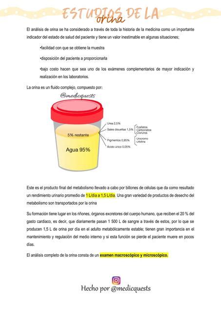 Resúmenes de Examen general de orina Descarga apuntes de Examen