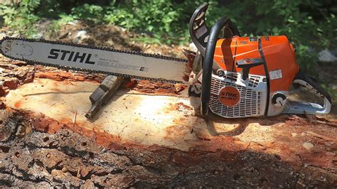 Tree Cutting With A Stihl Ms C Chainsaw Youtube