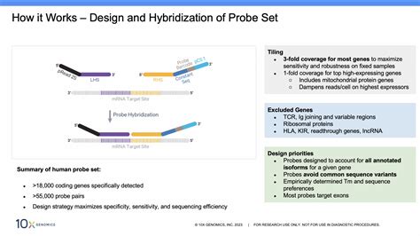 single cell gene expression flex 10x genomics