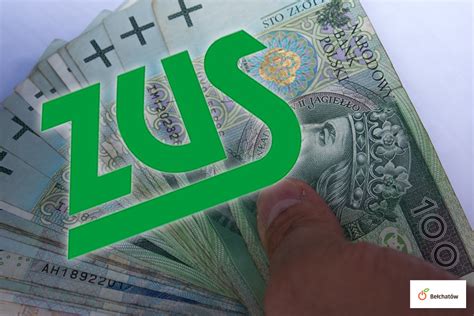 Masz firmę Złóż wniosek o Mały ZUS plus Oficjalna strona Miasta