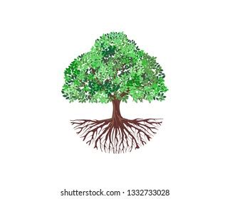 Tree Roots Vector Tree Round Shape Stock Vector Royalty Free