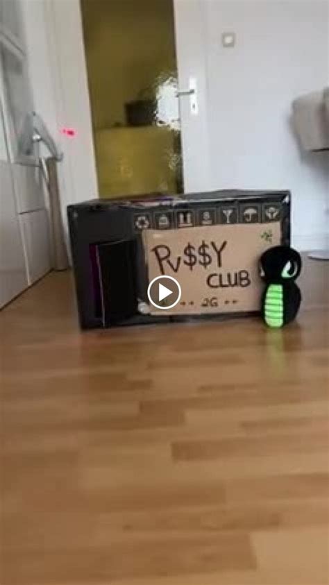 Kot na dyskotece ChoZoba pl śmieszne obrazki gify filmy zdjęcia