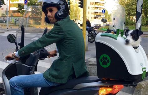 Transportin Perro Para Moto Atelier Yuwa Ciao Jp