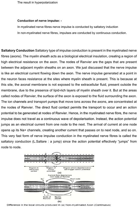 Explain Genration And Conduction Of Nerve Impulse
