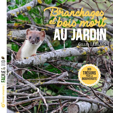 Branchages et bois morts au jardin des trésors pour la biodiversité