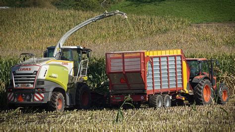 Maish Ckseln Mit Claas Jaguar Youtube