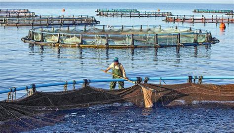 Nueva Ley de Pesca Se inician los diálogos con los pescadores