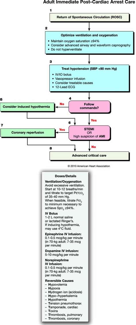 Acls Guidelines Update Adult Immediate Post Cardiac Arrest Care