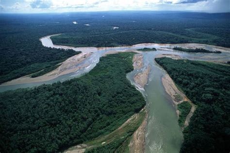 La Iglesia latinoamericana contra los abusos en la Amazonía