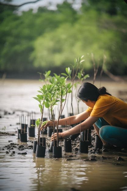 Plantando Manguezais para a Conservação do Meio Ambiente e Restauração