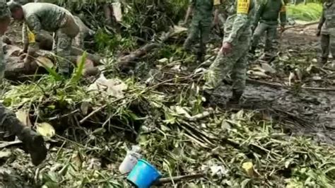Sedena despliega más de 8000 elementos en Guerrero Grupo Milenio