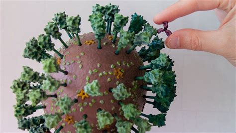 Nature Publication on Coronavirus Research at Universität Hamburg CUI