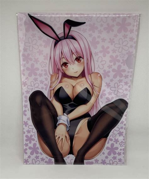 未使用ぽぽちち A4クリアファイル 八尋 ぽち メロンブックス レンタル彼女お触りします総集編Ⅱ 新刊購入特典の落札情報詳細