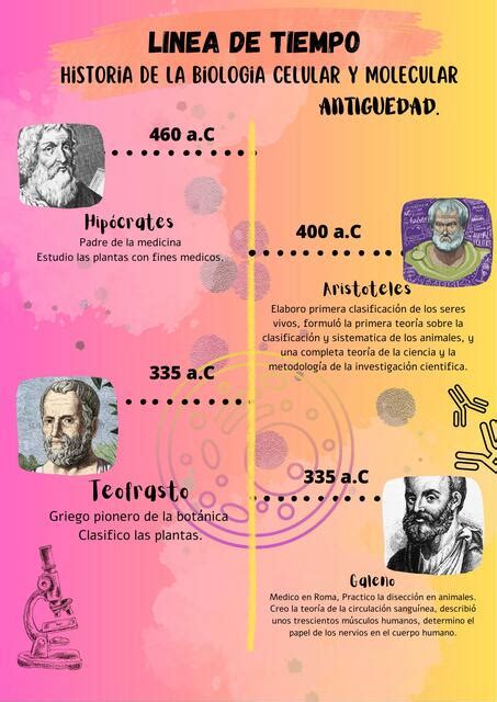 Linea De Tiempo Biologia Maria Victoria Diaz UDocz