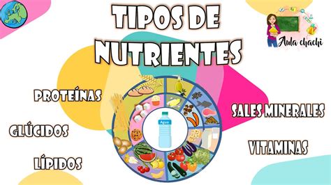 En Que Alimentos Se Encuentran Los Nutrientes Diario Huesca