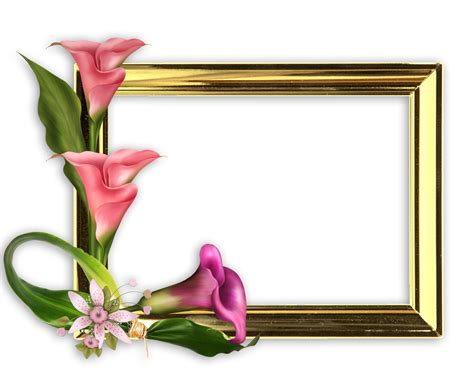 Molduras PNG Ornamentais Imagens Para Photoshop
