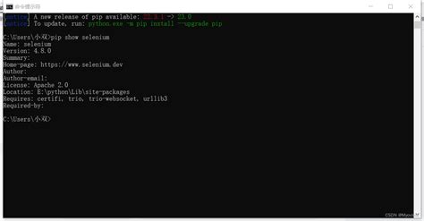 安装selenium seluinm安装 csdn博客