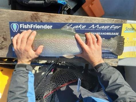 Pêche en area et en réservoir les différents salmonidés à pêcher