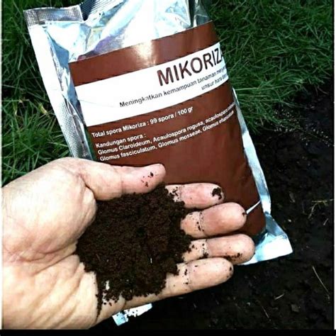 Jual MIKORIZA PUPUK HAYATI 1KG Di Lapak Arsya Garden Tools Bukalapak