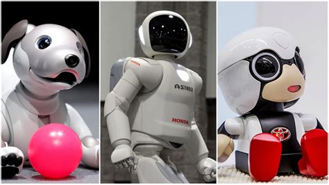 Top Japanese Robots You Should Check Out In Robotics India Live