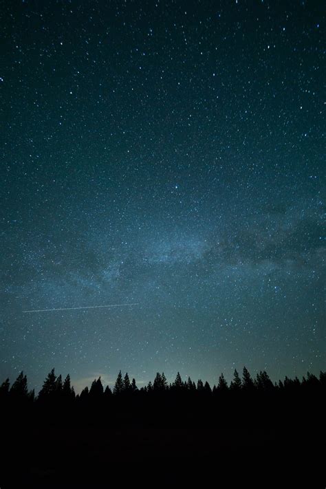 Free Images Nature Forest Glowing Sky Night Star Milky Way