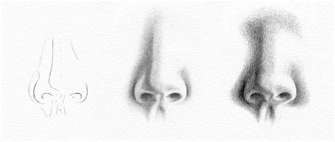 How To Draw A Realistic Nose With Pencil