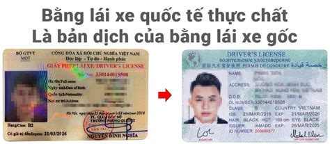 BẰNG LÁI XE QUỐC TẾ LÀ GÌ CHI PHÍ THỦ TỤC ĐỔI BẰNG QUỐC TẾ IAA