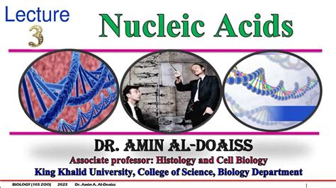 3 Nucleic Acids YouTube