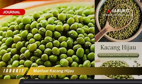 Temukan Jurnal Manfaat Kacang Hijau Yang Jarang Diketahui