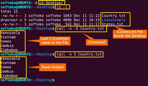 The Tail Command In Linux 7 Practical Examples LinuxSimply