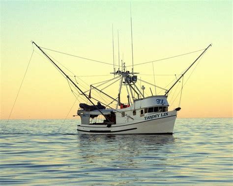 Métodos de Pesca Alaska Seafood