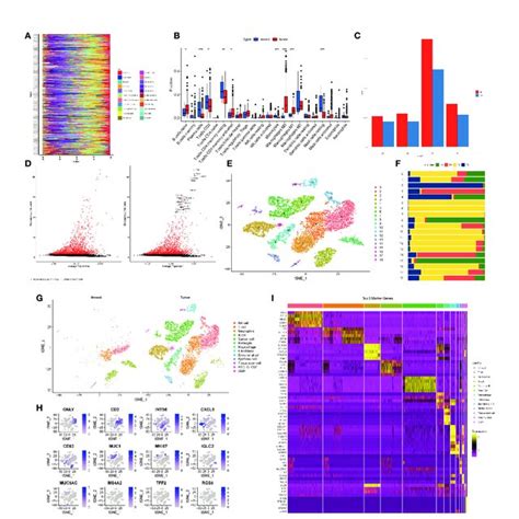 Processing Of Single Cell Sequencing Data From Geo And Annotation Of