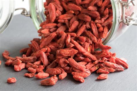 Goji Beeren Ernten Anbau Pflege Der Pflanze